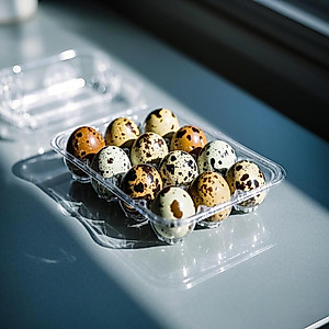 MANCHAP 150 Pack 12 Grids Plastic Quail Egg Carton Bulk, Clear Quail Eggs Carton Holders, Small Trays Stackable Storage Dispenser Case for Small Quail Eggs, Pigeon Eggs, Clear