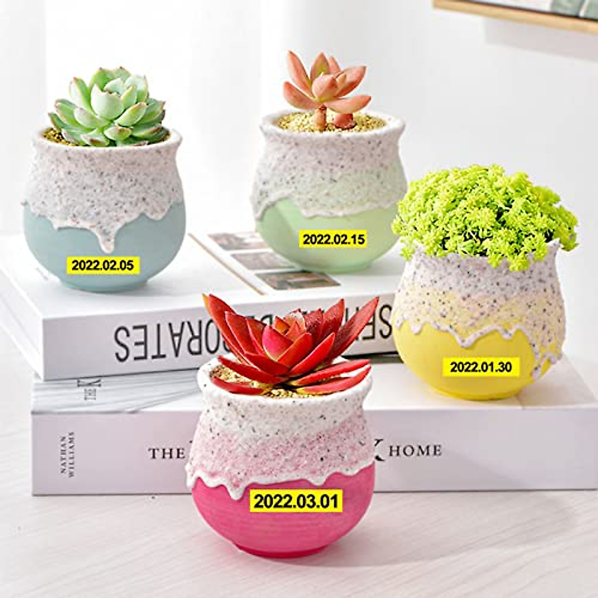 Absonic Tze 24mm Yellow TZ-651 Label Tape Compatable for Brother Tze-651 Laminated Black on Yellow Tape for Ptouch PT-D610BT PT-D600 PT-D600VP PT-P750W PT-P710BT 2730VP 2430PC, 0.94in x 26.2ft, 3-Pack