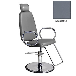 AmeriCan Goods Professional Dental Patient Exam & X-Ray Chair Deluxe Quality 360° Swivel, Adjustable & Removable Headrest Stool (Graystone)