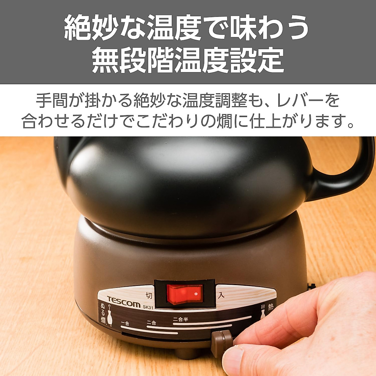 TESCOM"酒燗器 (Warmed SakeI Machine)" SK31【Japan Domestic genuine products】