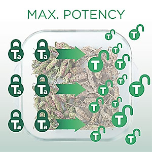 Glass Decarboxylation Decarbox Kit with Digital Thermometer to Make Butter and Oil