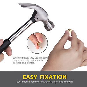 Picture Hangers, Hommie Picture Hangers Nails 50pcs 20lbs One Step Hanging Nails Photo Picture Frame Hanging Hooks Pins Picture Hanging Kit for Home Office Hanging Picture Photo Decorations