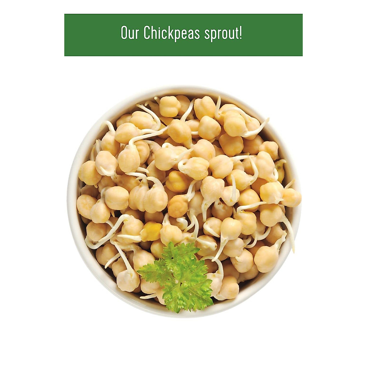 Chickpeas | Garbanzo Beans | 5 LBS | Family Farmed in Washington State | Desiccant Free | Non-GMO Project Verified | Kosher Parve | USA Grown | Field Traced | Burlap Bag