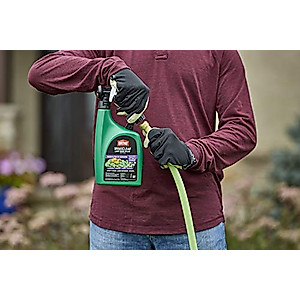 Ortho WeedClear Lawn Weed Killer Ready to Spray3 - Dandelion & Clover Killer, Also Kills Chickweed, Dollarweed & More, Weed Control for Lawns, Use on Southern Grasses, Kills to the Root, 32 oz.