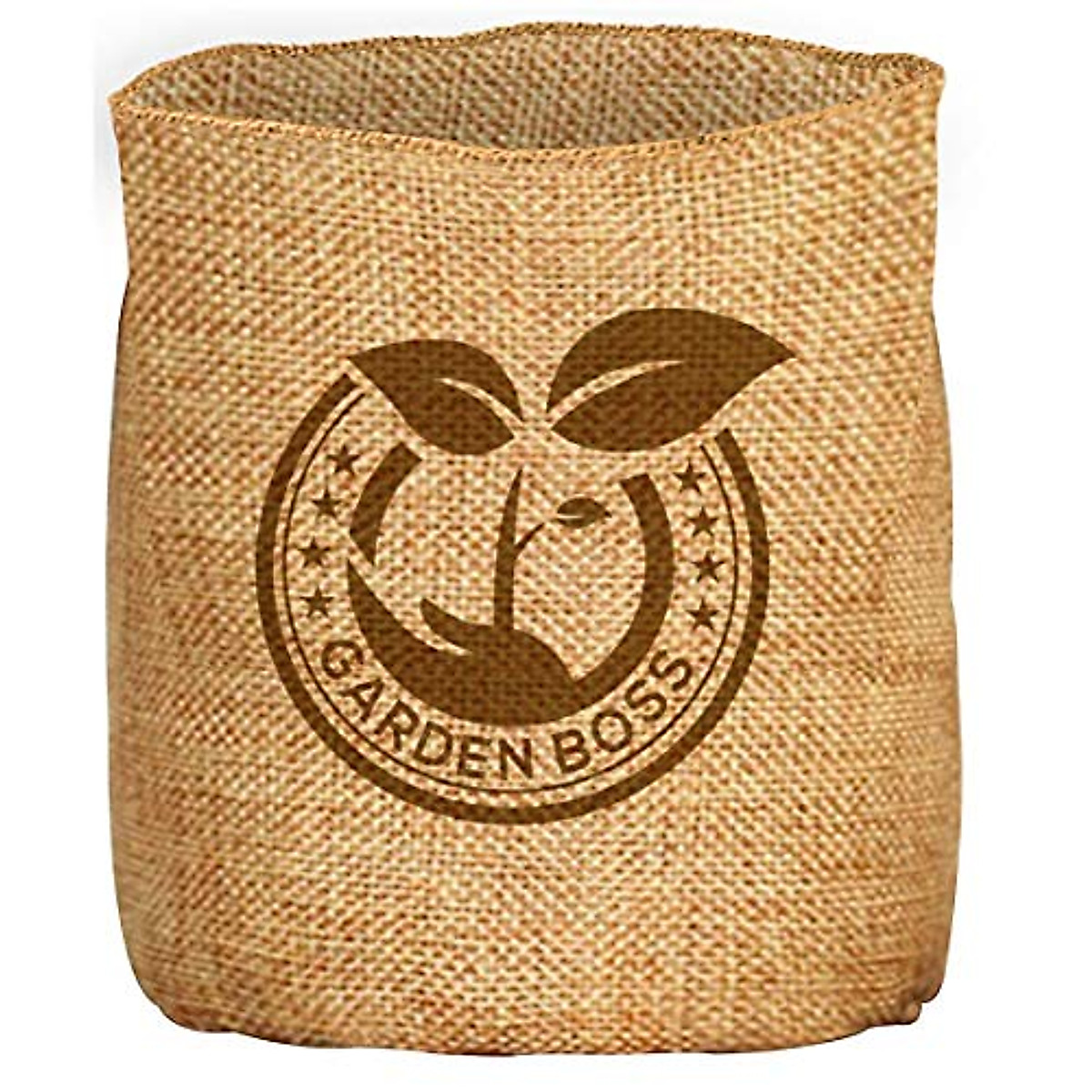 Succulent Cactus Seed DIY Terrarium Germination Starter Kit for Indoor Garden Growing - Mini Terrarium Kit with Seeds, Soil, Rocks, Moss, Pea Gravel, Activated Charcoal, and Burlap Potting Planters