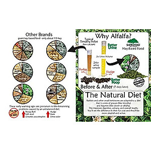 Sherwood Pet Health Professional Adult Rabbit Food (10 pounds)