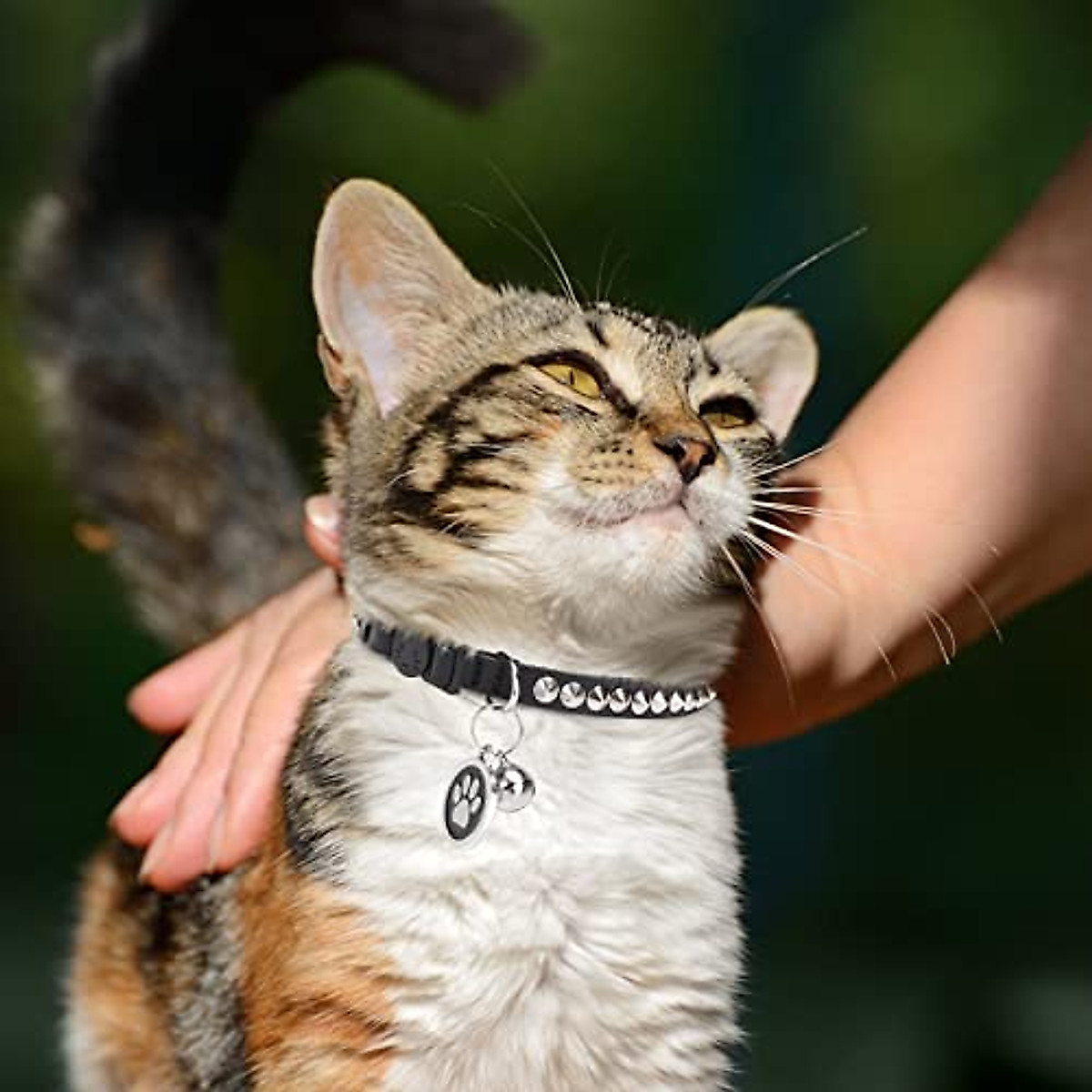 DILLYBUD Leather Personalized Breakaway Cat Collar with Studded Bell and Safety Quick Release Buckle - Rivets Studded ID DIY Collars for Boy Girl Cats Kittens