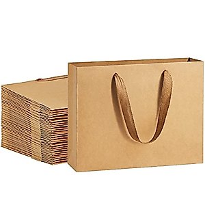 Paper Bags 10.6x3.1x8.3" 25Pcs BagDream Gift Bags Heavy Duty Kraft Brown Gift Paper Bags with Handles Soft Cloth, Party Favor Bags, Shopping Bags, Retail Bags, Merchandise Bags, Wedding Party Gift Bags