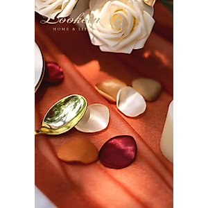 Lookein 300pcs Terracotta Rose Petals Satin Flower Petals for Wedding Flower Girl Basket Table Centerpieces Aisle Runner Party Confetti Bridal Shower Dinner Wedding Decoration