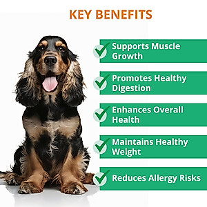Vivus Pets Vegan Dog Treats - Smokey Maple Bacun Bites for Gut Health and Skin Coat with All Natural, Allergen Free & Human Grade Ingredient - Suitable for All Breeds, 5.3 Oz