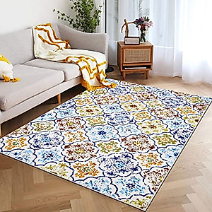 Vaukki Living Room Rug, Floral Medallion Soft Laundry Carpet, Non Slip Entryway Mat, Washable Throw Rug Floor Carpet for Bathroom, Dining Room, Kitchen and Bedroom (4'x6', Multi-Color)