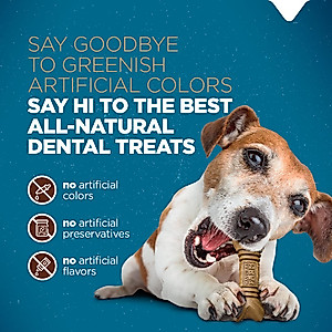 Natural Farm All-Natural Dog Dental Chew, Dog Teeth Cleaning Treats - Fresh Breath, Fight Plaque & Tartar - Canine Mess-Free Oral Care, Teeth Cleaning Chews for Dogs 15-25 Lbs (40 Counts)