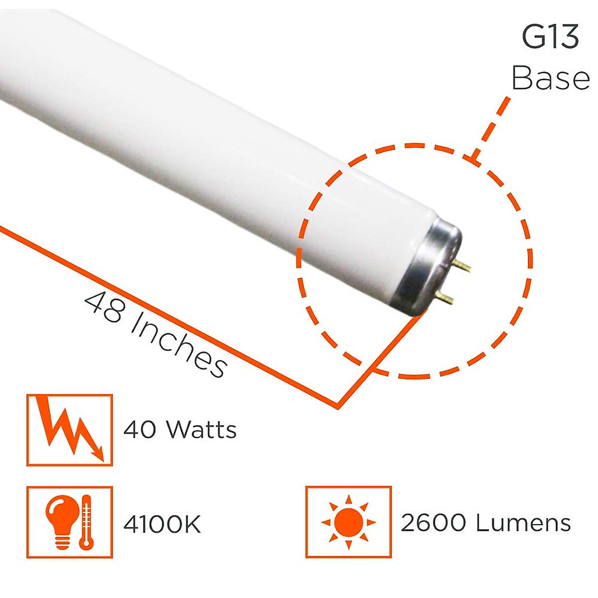 GoodBulb 40-W 48 Inch T12 Fluorescent Light Bulb, 4100K Cool White Light, Medium Bi-Pin Base, 2600 Lumens, 90 CRI, 24000 Life Hours, Instant/Programmed Start (Pack of 30 Bulbs)