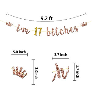 I'm 17 Bitches Banner, 17th Birthday Party Decor, Funny Seventeen Years Old Birthday Banner, Girl's 17th Birthday Party Decorations (Rose Gold)