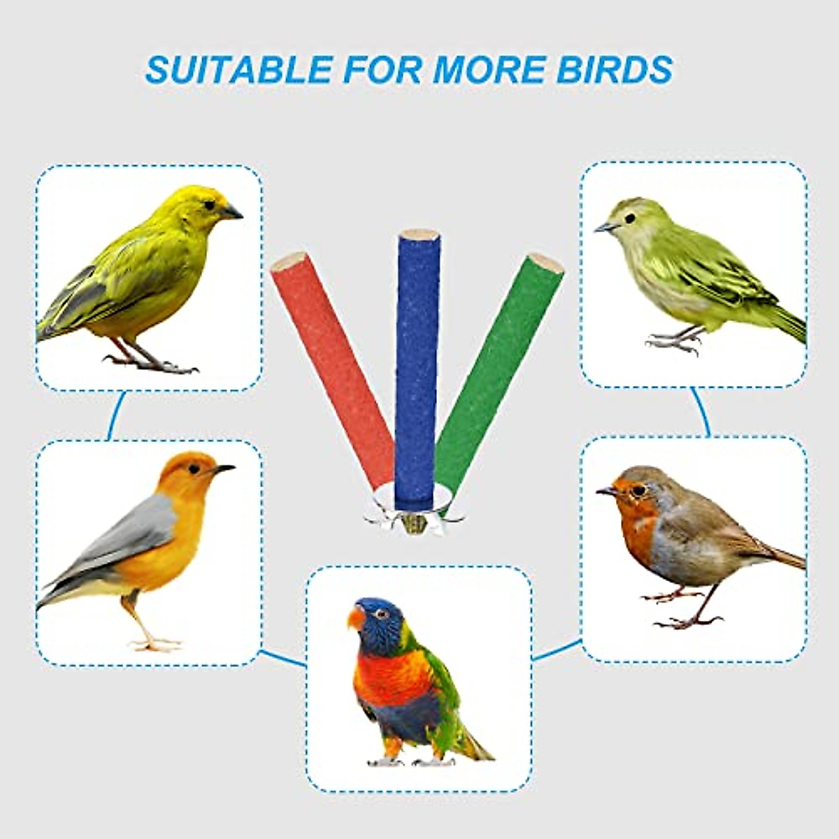 PATIKIL 0.6x7.9 Inch Bird Cage Perch, 2 Pack Parrot Stand Paw Grinding Stick Bird for Parakeet Cockatiel Cage Accessories, Green