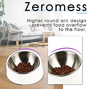 SuperDesign Mess Free 15° Slanted Bowl for Dogs and Cats, Tilted Angle Bulldog Bowl Dog Feeder, Non-Skid & Non-Spill, Easier to Reach Food S/0.5 Cup White