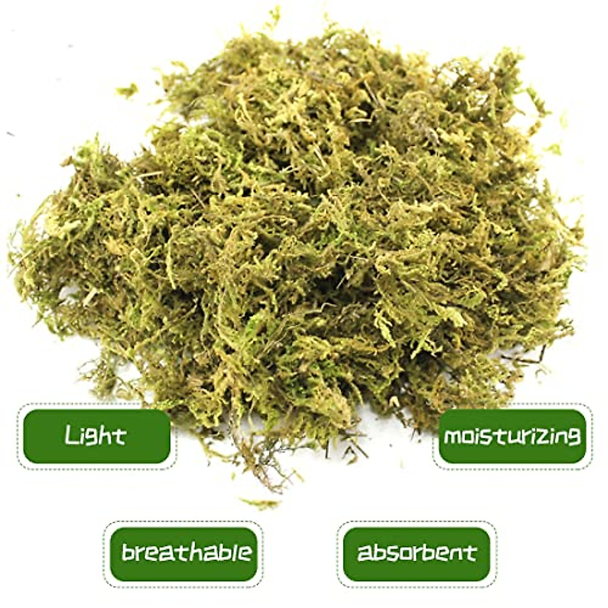 Hamiledyi Reptile Forest Moss,Premium Sphagnum Moss Reptile Terrarium Substrate Moss Bedding for Bearded Dragon Lizard Chamelon Gecko Iguana Snake Tarantula(100g/3.5 Oz)