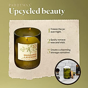 Paddywax Eco Green Collection Scented Candle, 8-Ounce, Mandarin & Lavender
