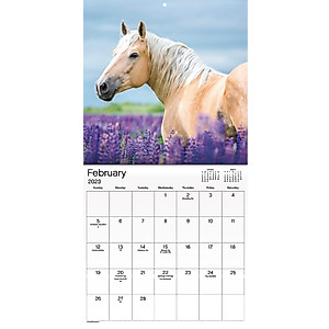2023 Horses Mini Wall Calendar