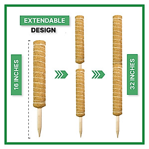 Rossesie 29-inch Moss Pole for Plants Monstera – 2 Extendable Coco Coir Support Stakes for Indoor Potted Plants - Moss Poles for Climbing Plants to Grow Upward with 2 x 47'' Twist Tie
