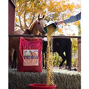 Horse Guard Glow 40 lb, Aids in Weight Gain and Improves Coat and Condition, Includes Omega-3’s