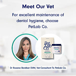 PetLab Co. - Clean Teeth Bundle: Dental Powder for an Effortless Deep Clean in 1 Scoop for Large Dogs & Dental Chew for Delicious Dog Dental Care - Easy to Use - Innovative Formulas
