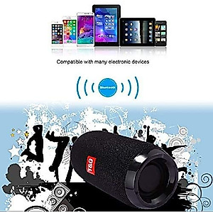 T&G117 Portable Bluetooth Speaker (Black)
