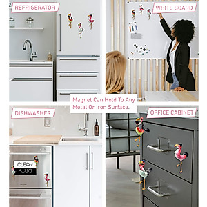 Puzzled Flamingo Refrigerator Bobble Magnet (Set of 3)