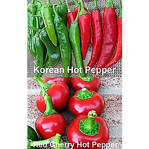 PLEASE READ! THIS IS A MIX!!! 30+ Hot Pepper Mix Seeds, 16 Varieties Heirloom NON-GMO Habanero, Tabasco, Jalapeno, Yellow and Red Scotch Bonnet, Ships from USA! US Grown.