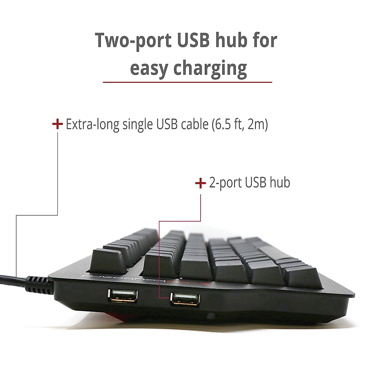Das Keyboard 4C TKL Wired Tenkeyless Mechanical Keyboard, Cherry MX Brown Mechanical Switches, Premium PBT Keycaps, 2-Port USB Hub (87 Keys, Black Keyboard, Gray PBT Keycaps)