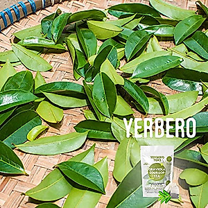 Yerbero - Te Hoja De Guanabana 1oz (28g) | Graviola Leaf - Whole Soursop Leaves | Stand Alone Resealable Bag, Crafted By Nature 100% All Natural Delicious Fresh Tea | From Mexico.