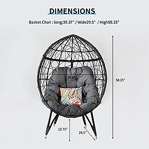 Temminkii Outdoor Patio Wicker Egg Chair Indoor Basket Wicker Chair with Grey Cushion for Backyard Poolside