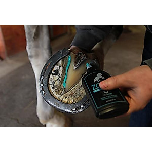 Therazure Zomp Liquid Hoof Thrush and White Line Treatment for Horses: Effective for Thrush Relief and Prevention on All Hooved Animals