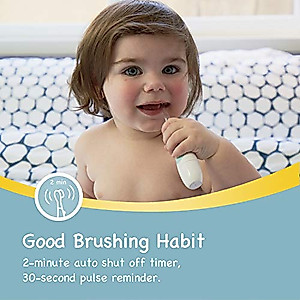 Papablic BabyHandy 2-Stage Baby Sonic Electric Toothbrush for Babies and Toddlers Ages 0-3 Years