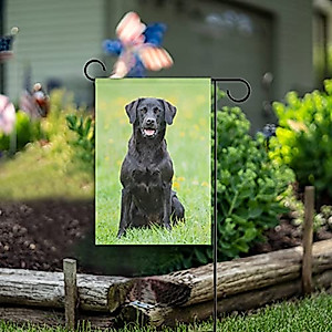 Hokkien Black Labrador Retriever Dog Garden Flag Double Sided 12 x 18 Inch, Yard Flags, Decorative Small Garden Flags, Outdoor Lawn and Garden Décor