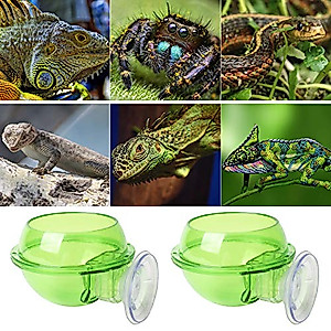 IAFVKAI Suction Cup Reptile Feeder 2PCS Reptile Food Water Feeding Bowl for Chameleon Tortoise Gecko Snakes Iguana Lizard