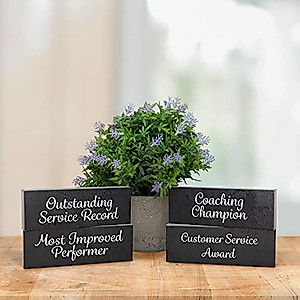 JennyGems Employee Recognition Gifts, Employee Appreciation Gifts Recognition Coworkers, Motivation Gifts for Coworkers, Team Gifts, Employee Thank You Gifts Appreciation (Achievements/Recognition)