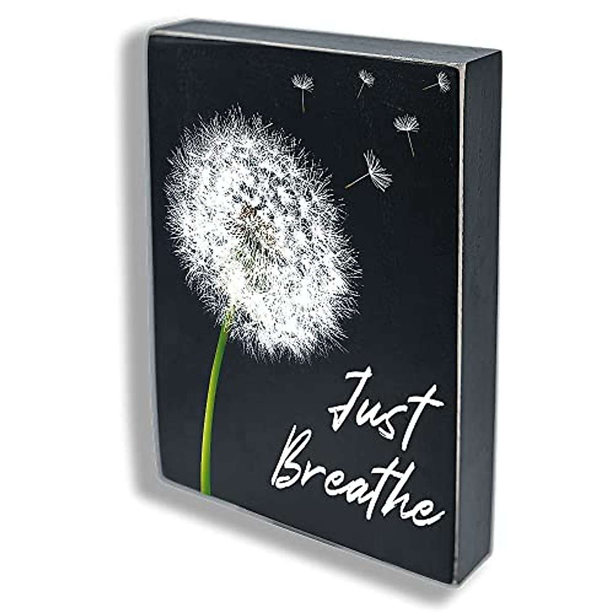 Maoerzai Just Breathe Wall Art Dandelion Sign, Wooden Box Sign Office Desk Decor, Rustic Farmhouse Home Decor for Bathroom Living Room Kitchen Sign. (6 X 8 X 1.2 inch, Black - Dandelion-3)