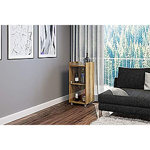 Boahaus Classic Mini Bar, One Glass Door, 2 Shelves, Brown