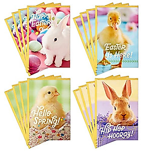 Hallmark Easter Cards Assortment, Bunnies and Chicks (16 Cards with Envelopes)