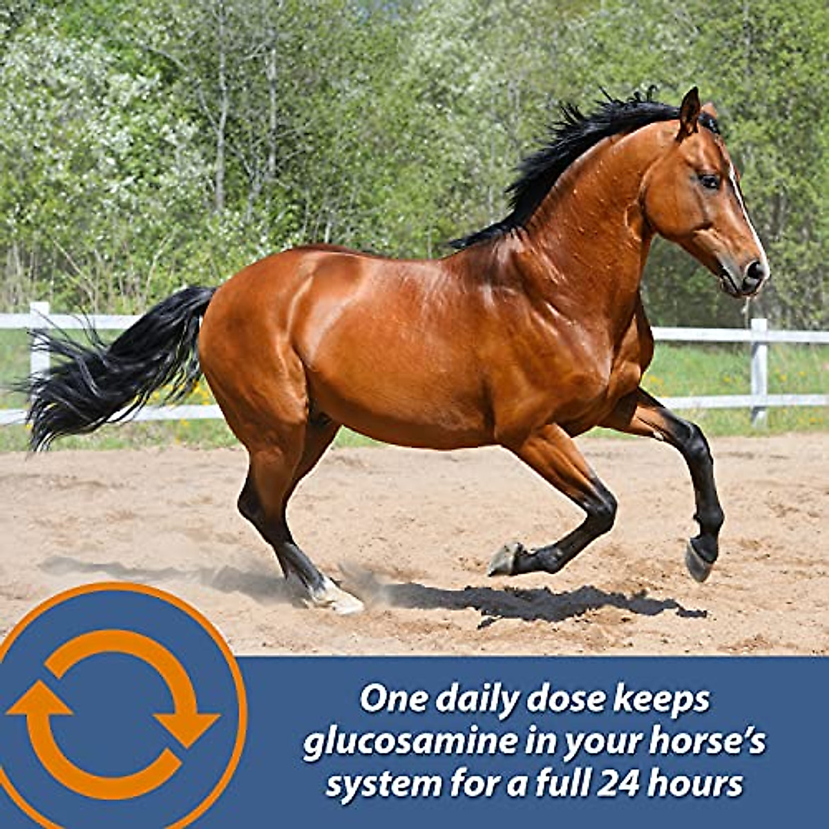 Farnam MaxFlex XR Extended Release Joint Supplement for Horses, Provides a continuous supply of joint health ingredients for 24 hours, 0.9375 pound, 30 Day Supply