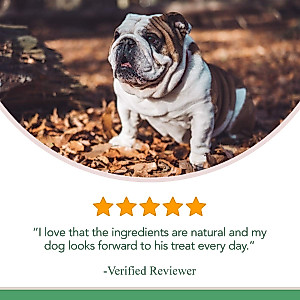 Veterinary Naturals Hip & Joint Supplement for Dogs - 60 Soft Dog Chews for Hip & Joint Support - Dog Vitamins and Supplements with Glucosamine for Dogs & MSM - Grain-Free, Roasted Chicken Flavor