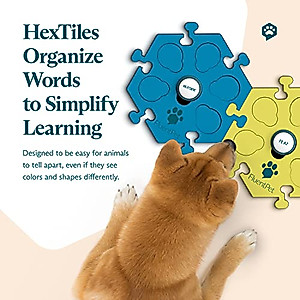 FluentPet Sound Button Tester Kit - Dog Buttons for Communication - Compact Talking Buttons for Dogs and Cats - Dog Talking Button Set with 2 Recordable Buttons and 2 Compact HexTile Soundboard Mats