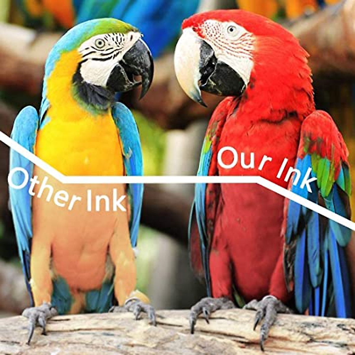 Printers Jack Compatible Epson T664 Refill Ink Bottle kit for Expression ET-2650, ET-2500, ET-2550, ET-2600 & Workforce ET-16500, ET-4500, ET-4550 Printers