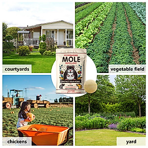 Mole Repellent,Gopher Repellent,Vole Repellent,Mole Repellent for lawns,Mole Trap, Mole Control, Keeps Moles and Voles Out of Gardens,(8balls)