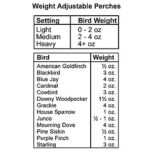 H-F Green Absolute II Two Sided Feeder With Windows