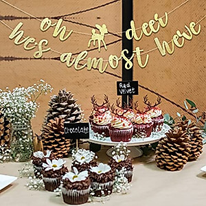 Oh Deer He's Almost Here Banner- Boy Woodland Baby Shower Decorations, Oh Deer Baby Shower Banner, Woodland Creature Baby Shower Party, Woodland Baby Boy Shower Party Decoration