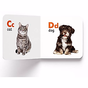 My First Library : Boxset of 10 Board Books for Kids