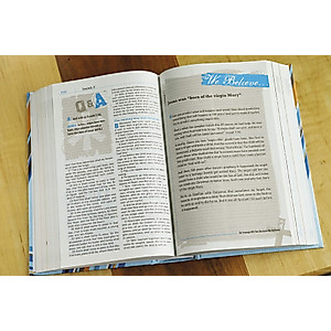 KJV, Teen Study Bible, Hardcover