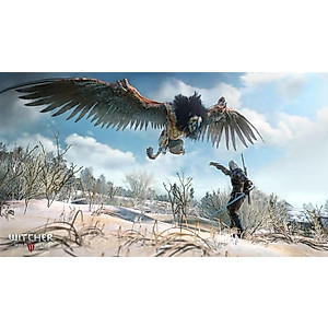 The Witcher 3: Wild Hunt Collector's Edition (Xbox One)